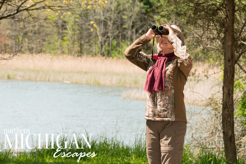 Bird Watching in Northern Michigan