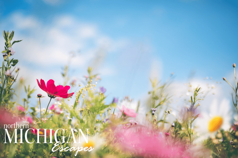 Northern Michigan Spring Vacations