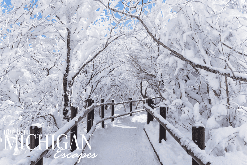 Magical Northern Michigan Winter Vacations